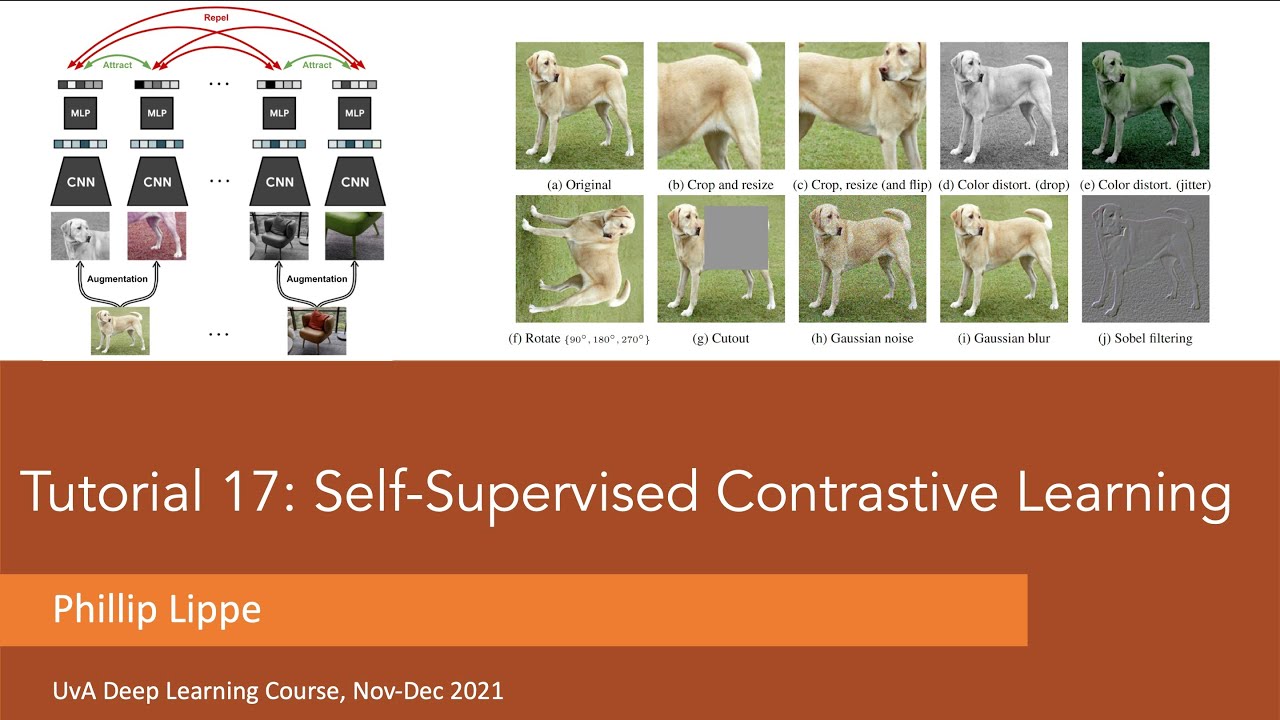 Tutorial 17: Self Supervised Contrastive Learning with SimCLR (Part 2)