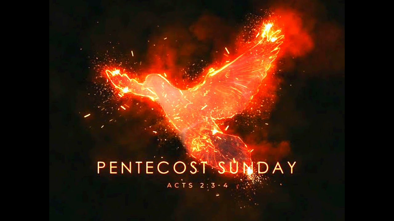 Pentecost Sunday - Live Wallpaper - Animated background wallpapers loops videos