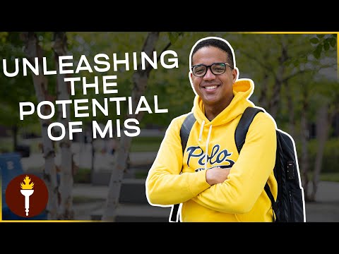 Exploring the Intersection of Business and Technology: The Evolution of MIS 💻