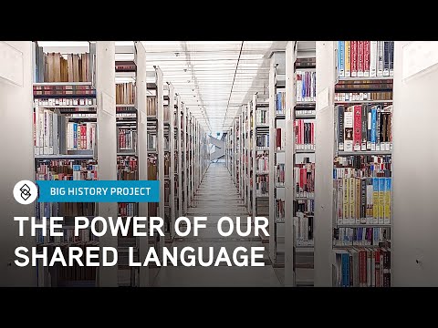 Collective Learning at a Global Scale | Unit 6: Big History Project | OER Project
