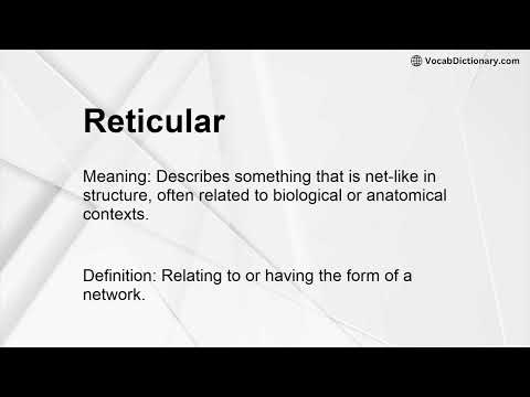 Reticular Meaning