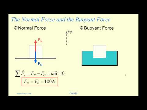 Fluids: The Buoyant Force