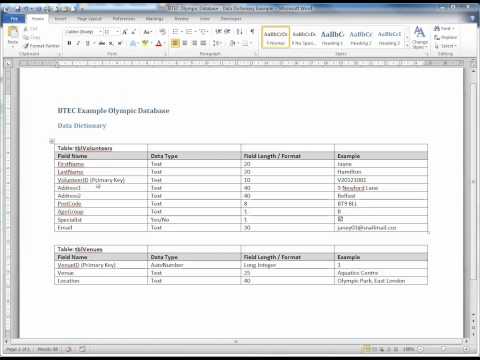 1a What is a data dictionary