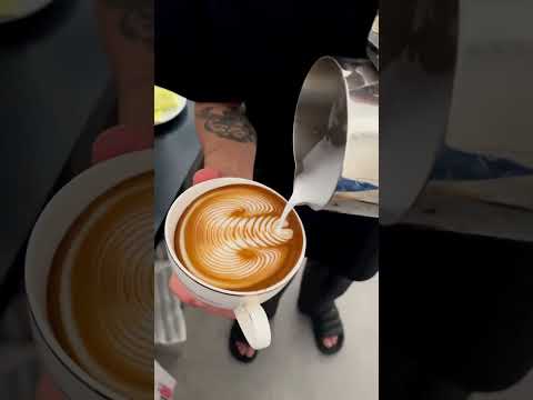 Looking for a barista job