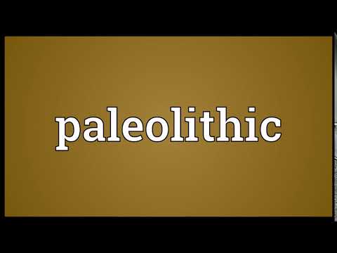 Paleolithic Meaning | Wordogram