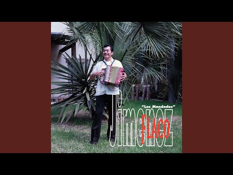 Mi Movidita