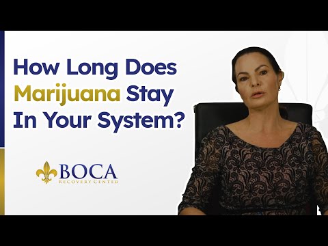 How Long Does Marijuana Stay In Your System?