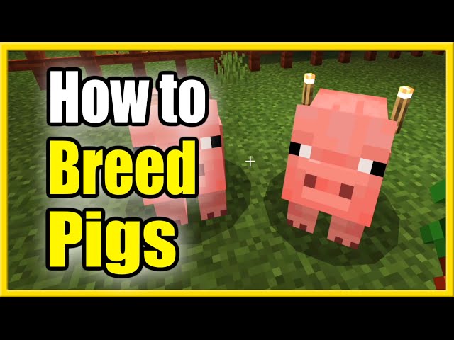 How to breed every animal in Minecraft