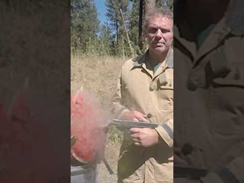Paul Harrell Tribute RIP