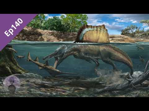 Episode 140: Aquatic Spinosaurids