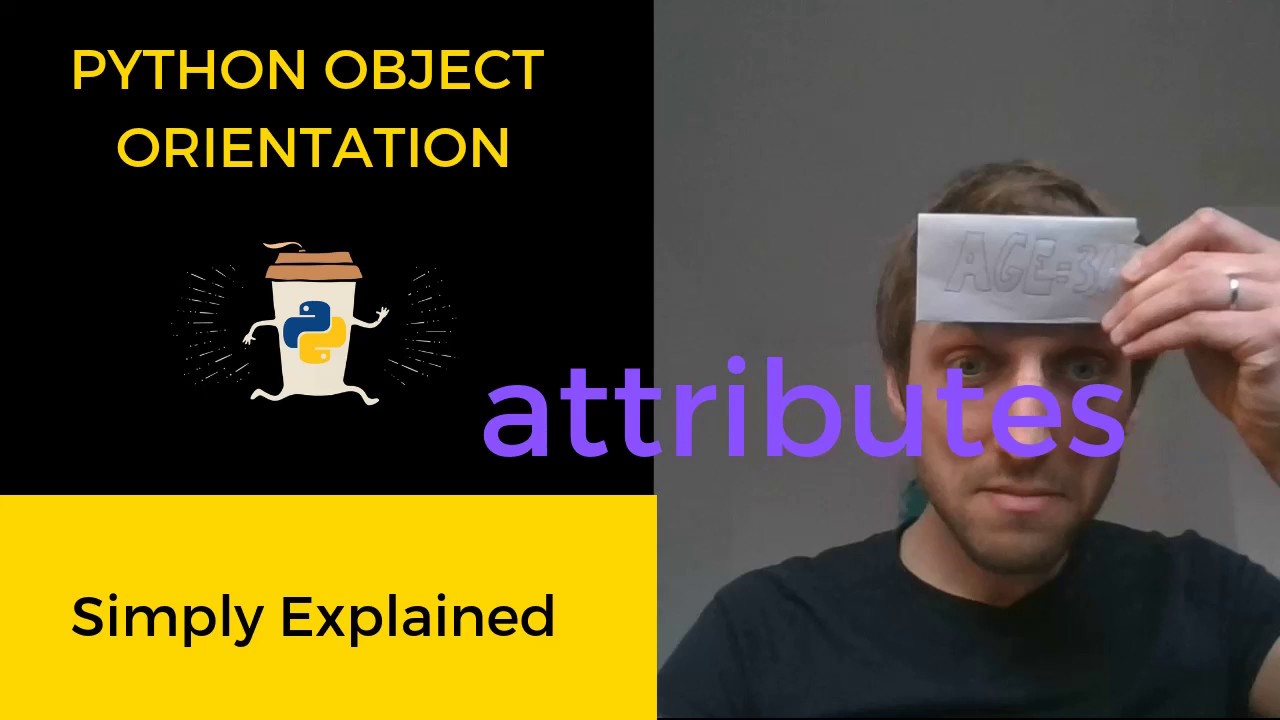 Python Class vs Instance Attributes [Simply Explained]