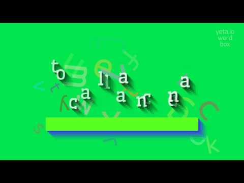 TALOCALCANEAN - How to say Talocalcanean?