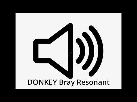 DONKEY Bray Resonant | SOUND EFFECT