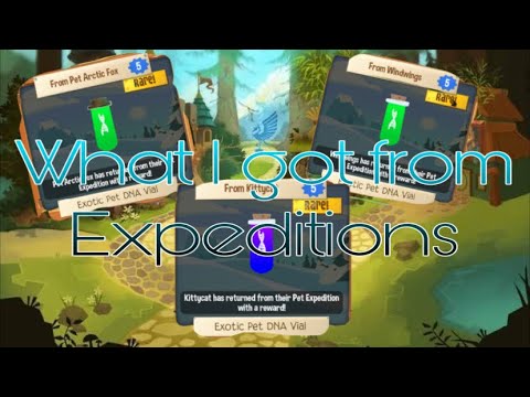 What I Got From Expeditions - AJPW - 50+ pets
