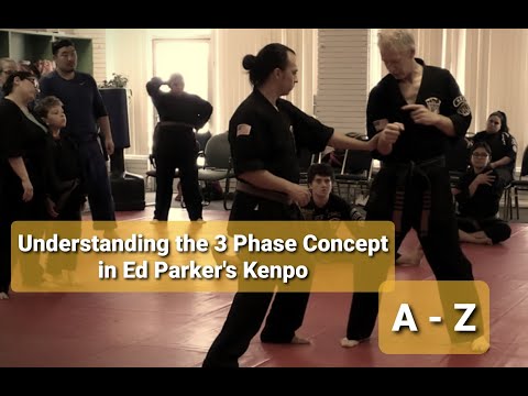 Developing fast reactions - 3 Phase Concept in Ed Parker's Kenpo, Sascha Williams