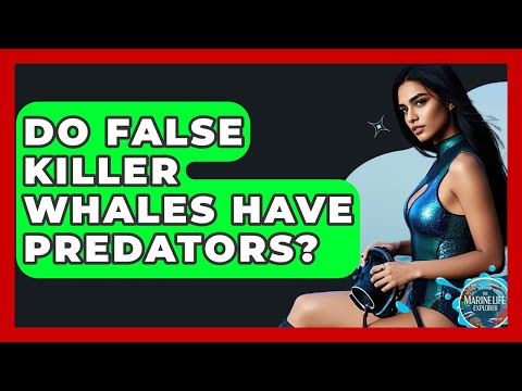 Do False Killer Whales Have Predators? - The Marine Life Explorer