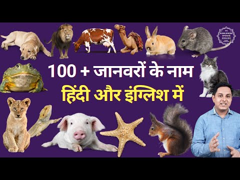 A to Z animals name | names of animals | top 100 animals list with pictures