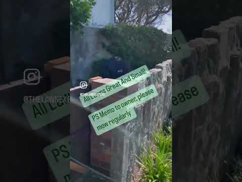All Lawns Great & Small! [Lawn Care Service] [Lawn Services Sydney] [Lawn Care] [Lawn Rejuvenation]