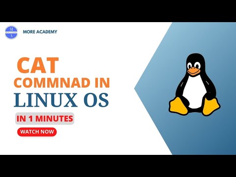 Linux Command 2023 "CAT" Command In 1 minute | How to Use The CAT Command on the Linux Command Line