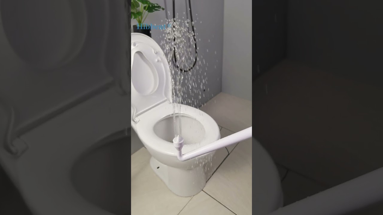 Give your butthole a thorough cleaning every day for under $20!