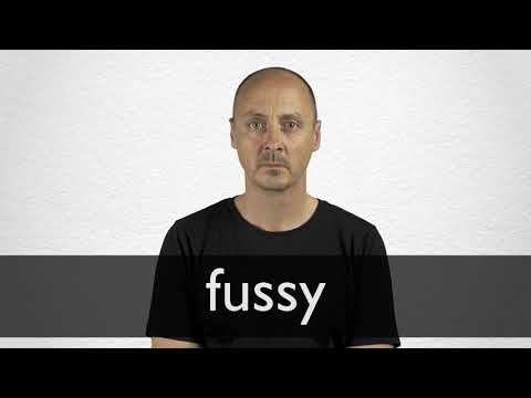 FUSSY definition and meaning | Collins English Dictionary