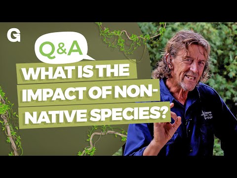 What is the Ecological Impact of Cultivating Non-Native Species