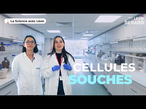 La Science avec Léon - Épisode 4 - Cellules souches