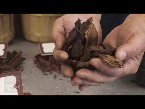 WHAT IS THE BEST KIND OF MULCH? (Mountain Bark Episode 12)