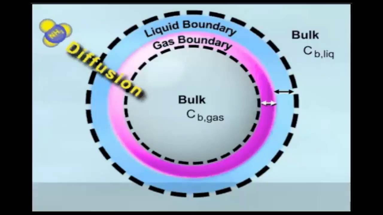 Diffusion and Mass Transfer Coefficients Demonstration