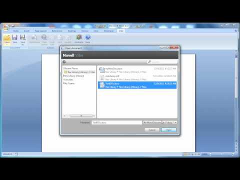 Vibe - Add-in Managing Documents