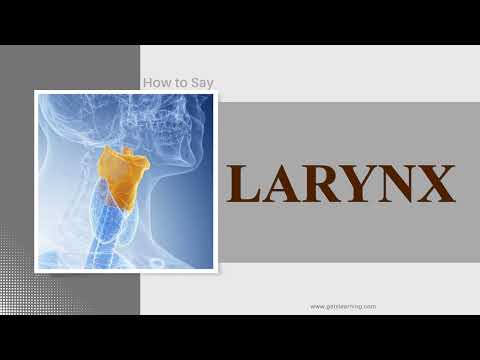 How to Say Larynx In American English