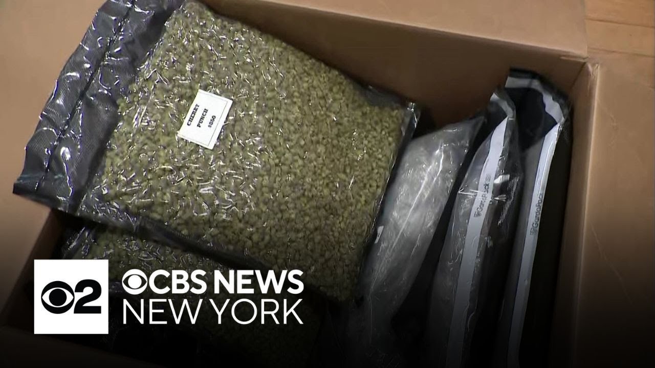 NYC police seize 1,000 pounds of pot in $10 million drug takedown