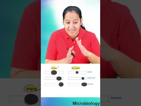 1 minute learning: Types of Bacterial spores