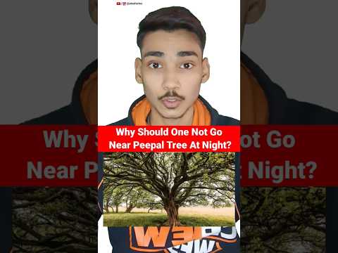 Why Should One Not Go Near Peepal Tree At Night? @AToAFactss