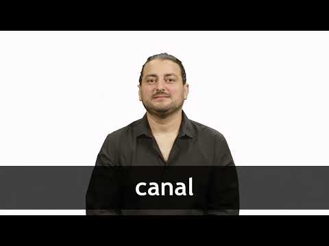English Translation of “CANAL” | Collins French-English Dictionary