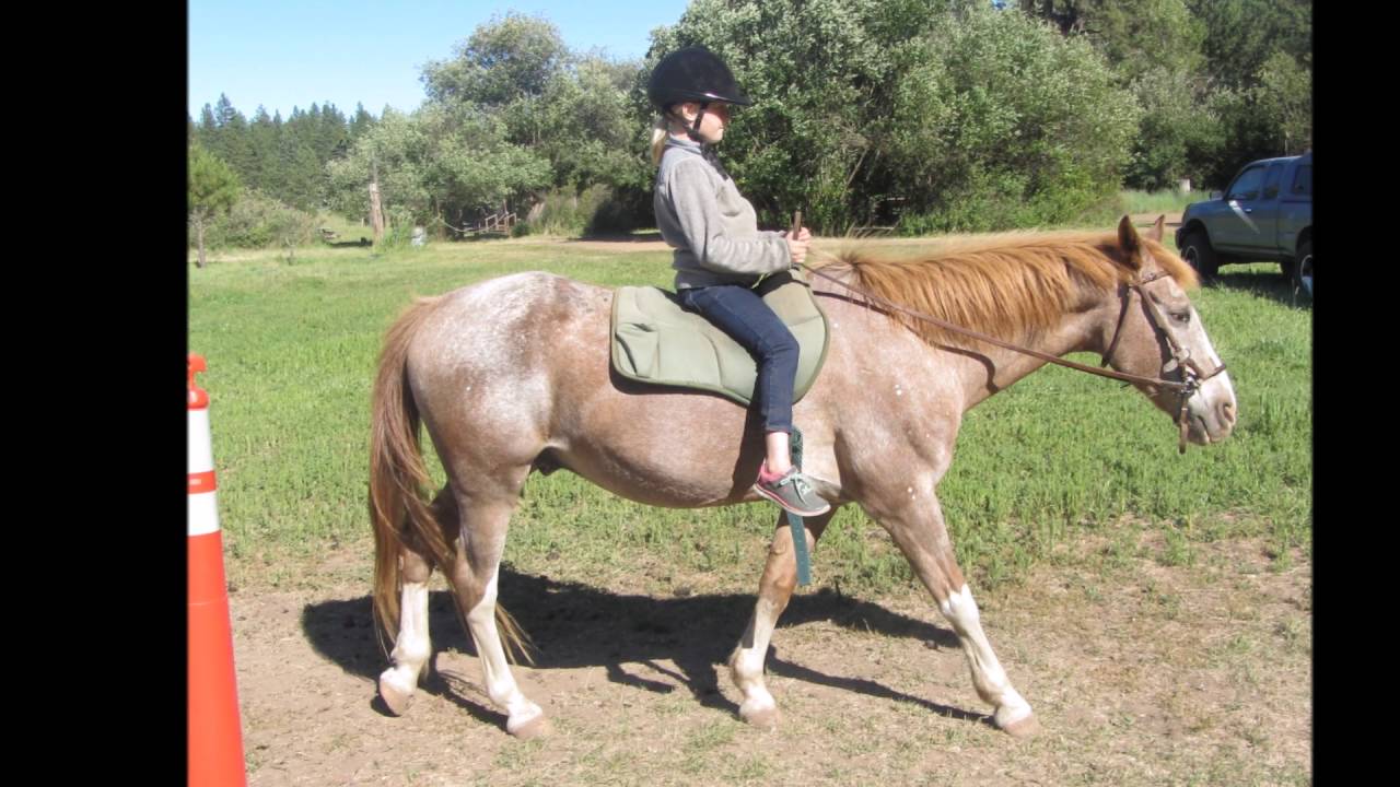 Ekone Ranch 2016 Slideshow Session 2