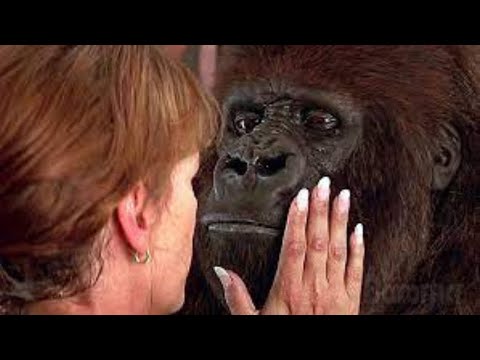 godzilla x kong the new empire full movie download link