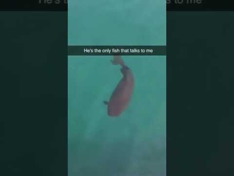 Why did the fish make that noise?!?!