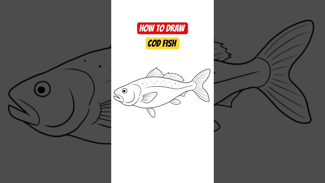How to draw Cod Fish #shorts #codfish #howtodraw