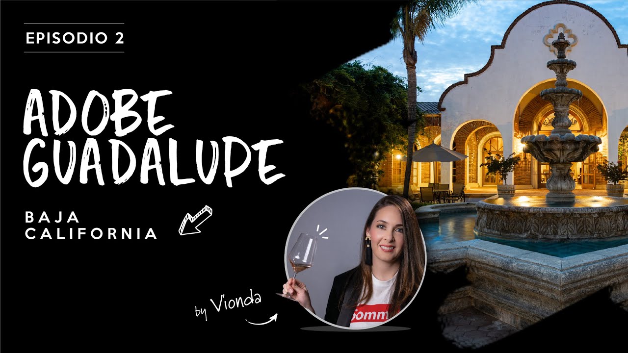 Discover Adobe Guadalupe Winery top 5 its wines and the Guadalupe Valley wine route in Baja Mexico
