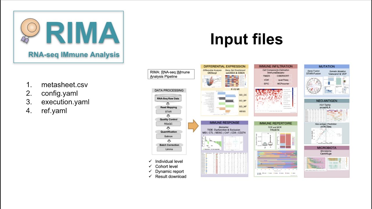 RIMA input files