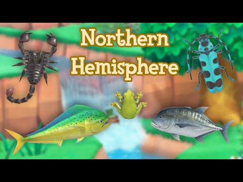 ALL NEW Northern Hemisphere Fish and Bugs In May! | Animal Crossing New Horizons!