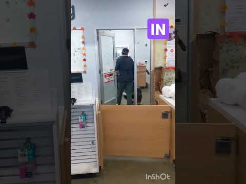 In & Out PetSmart Grooming