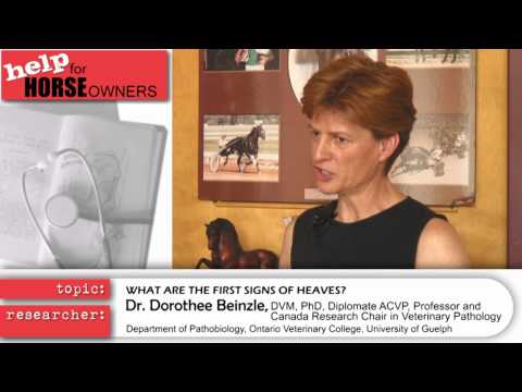 Genomic Research - What are the first signs of heaves?