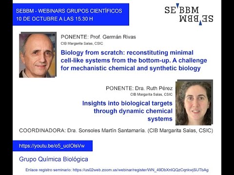 Webinar Grupos científicos de la SEBBM: “Grupo Química Biológica"