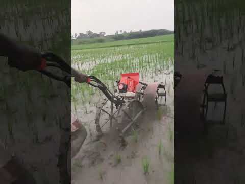 Paddy Weeder - Paddy Weeder Machine Latest Price, Manufacturers & Suppliers