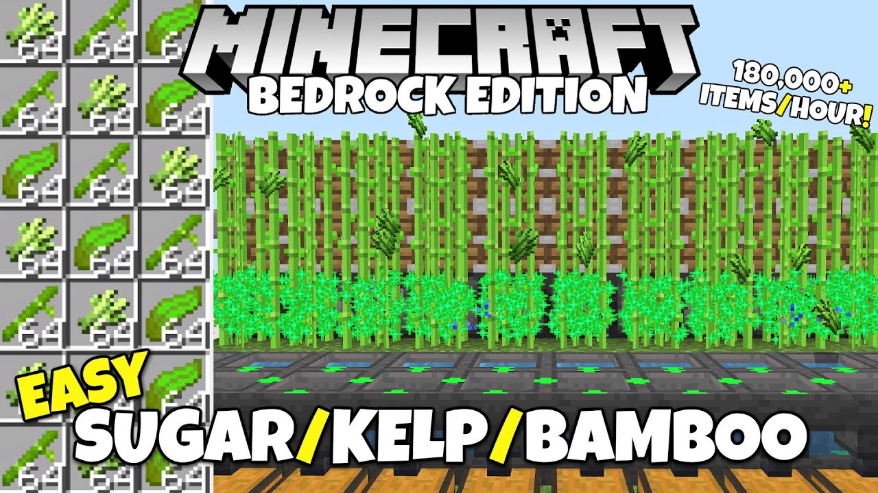 Minecraft Bedrock: EASY Sugarcane/Bamboo/Kelp Farm! 180,000 Items/Hour Tutorial! MCPE Xbox PC Ps4