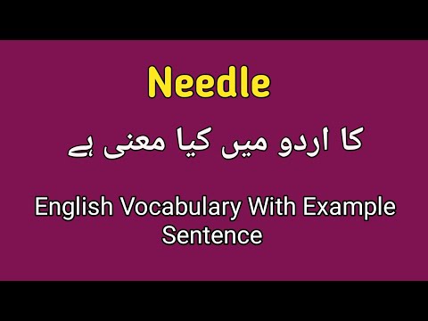 Needle meaning in Urdu | needle meaning in Urdu/ Hindi