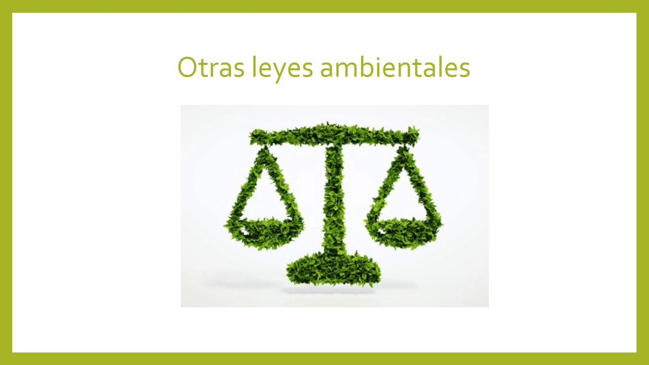 LEGISLACION AMBIENTAL presentacion final
