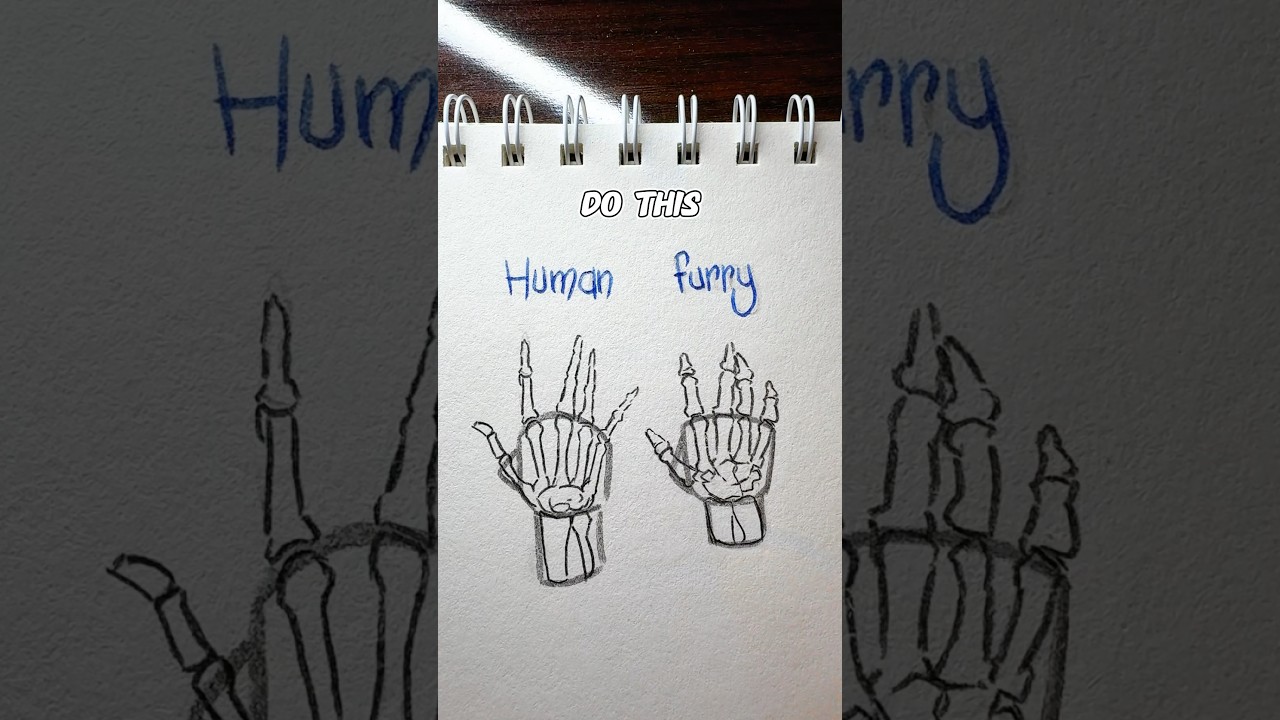 Hands anatomy drawing tutorial SuperEasy✨ #howtodraw